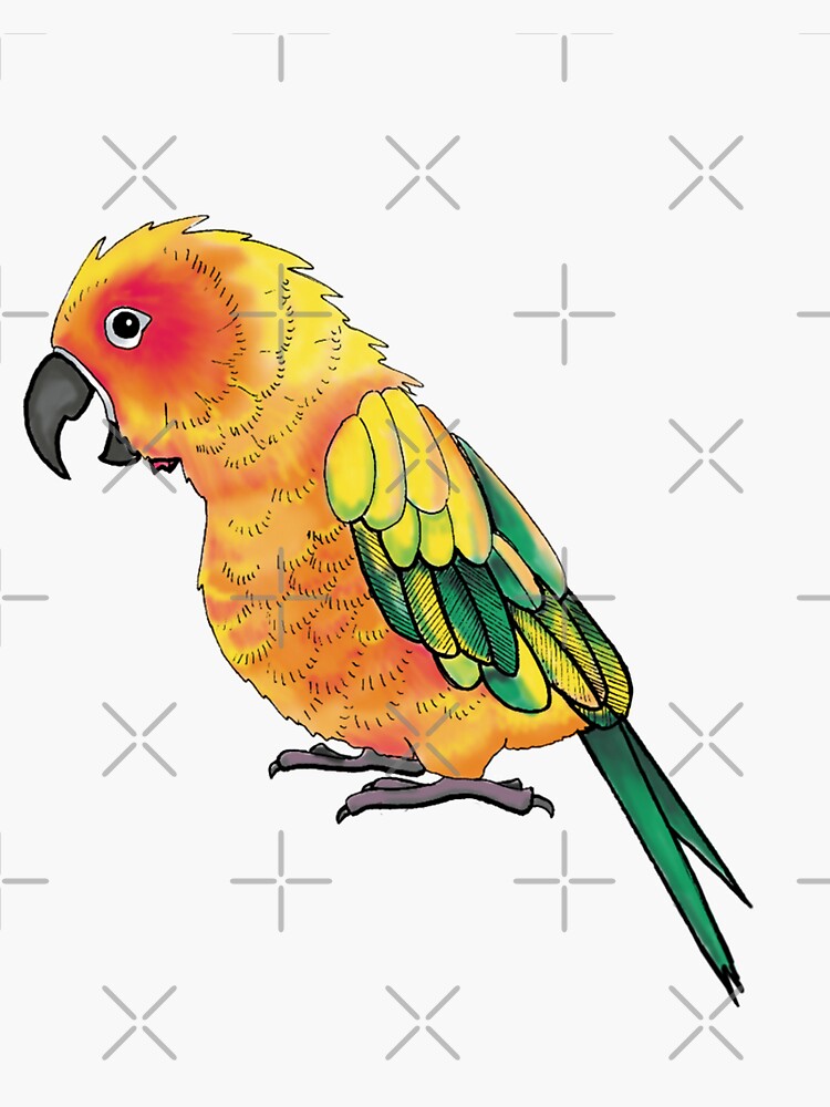 "Screaming Sun Conure" Sticker for Sale by VivianRosalee | Redbubble