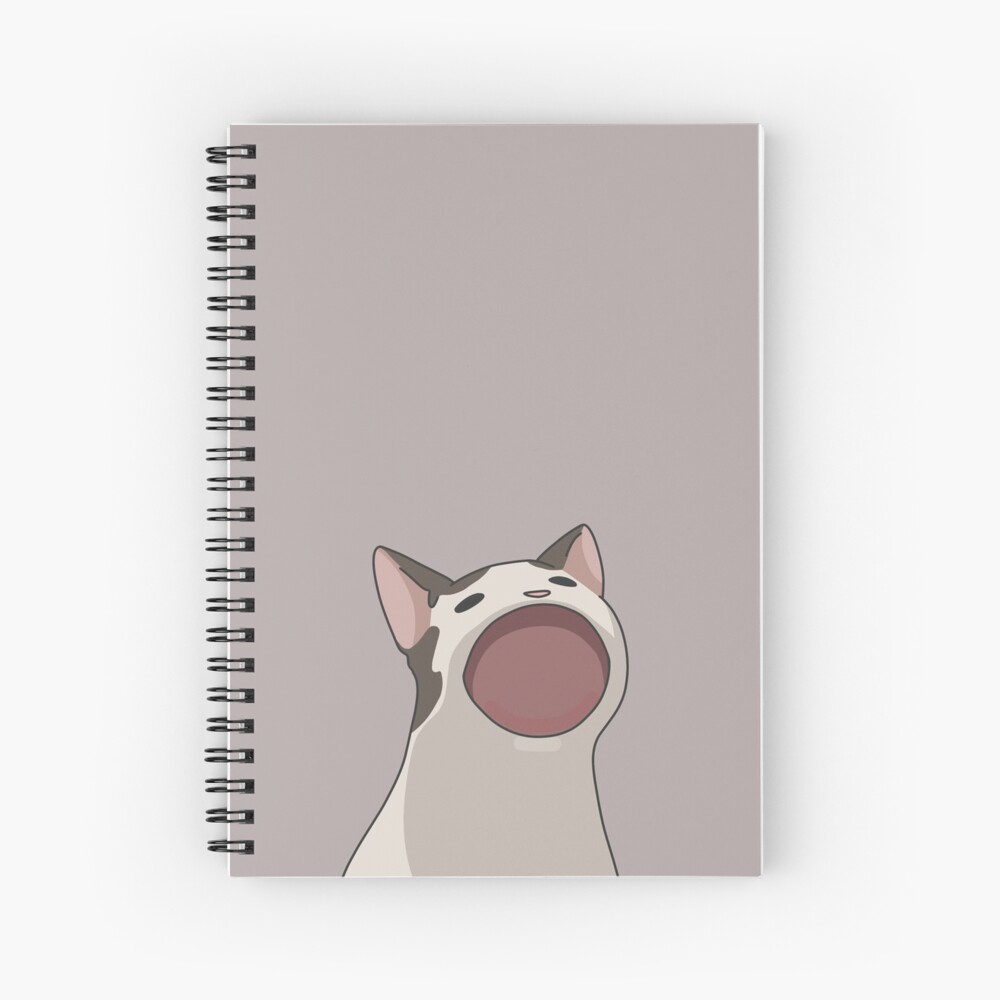 "Cat meme" Sticker by PookLea | Redbubble