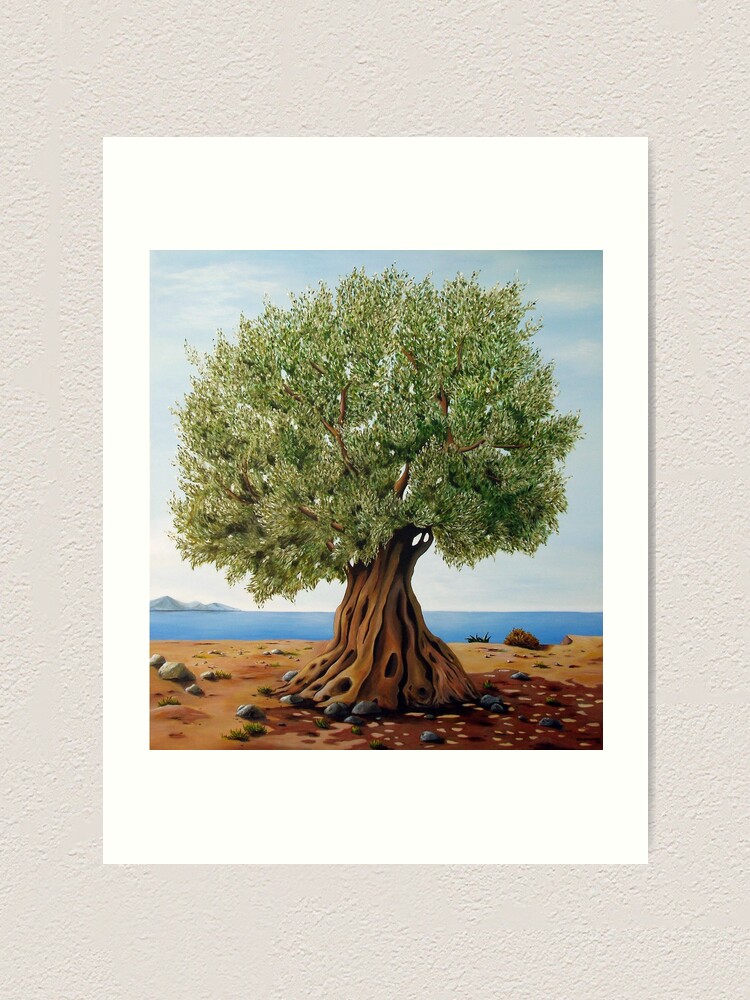 "Olive Tree" Art Print for Sale by GogoK | Redbubble