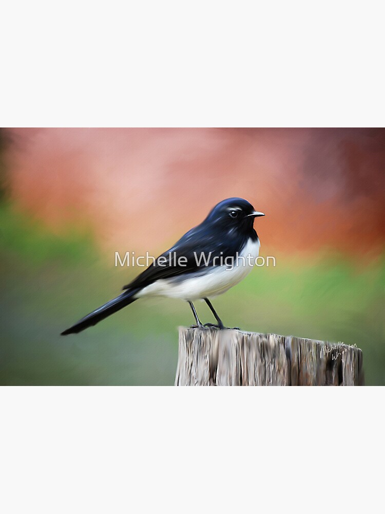 "Willy Wagtail" Sticker for Sale by Michelle | Redbubble