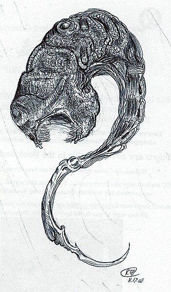 "Alien Worm Abstract" by RFGould | Redbubble