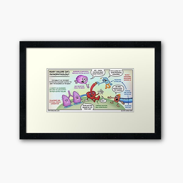 "Heart Failure: Pathophysiology" by Medcomic | Redbubble