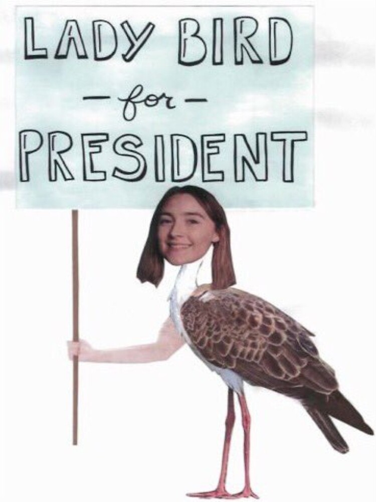 "Vote for Lady Bird Dir. Greta Gerwig" Art Print for Sale by ...