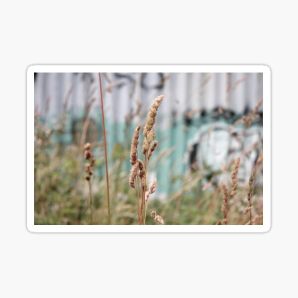 "whisp" Sticker by KreddibleTrout | Redbubble