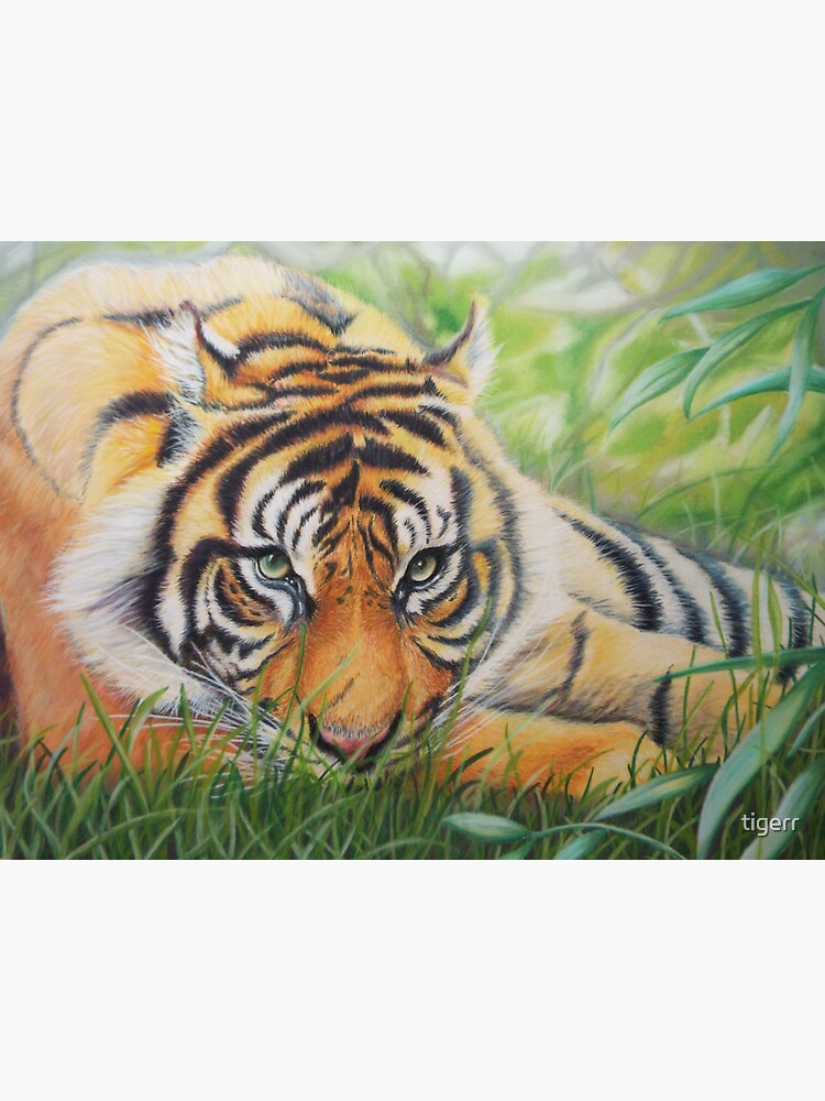 "Watchful Tiger" Sticker by tigerr | Redbubble