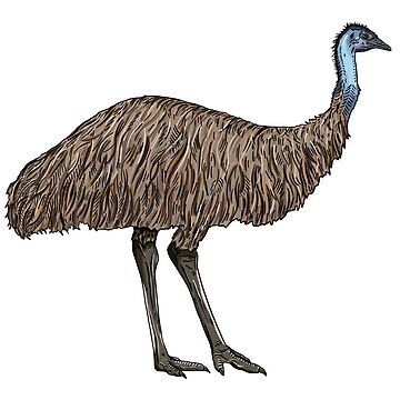 "Emu" Sticker for Sale by sharkboyalex | Redbubble