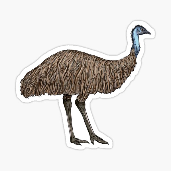 "Emu" Sticker for Sale by sharkboyalex | Redbubble