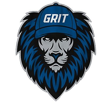 "Detroit GRIT" Sticker for Sale by StickersandTeez | Redbubble