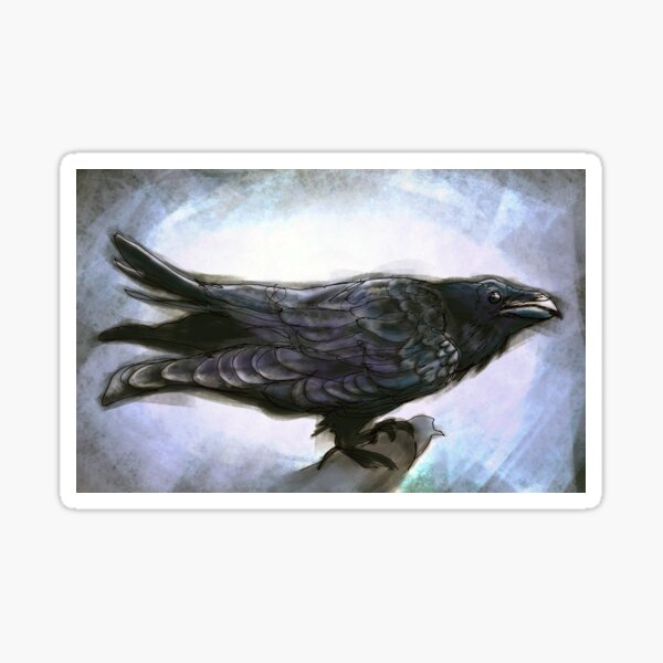 "Raven" Sticker by niksebastian | Redbubble