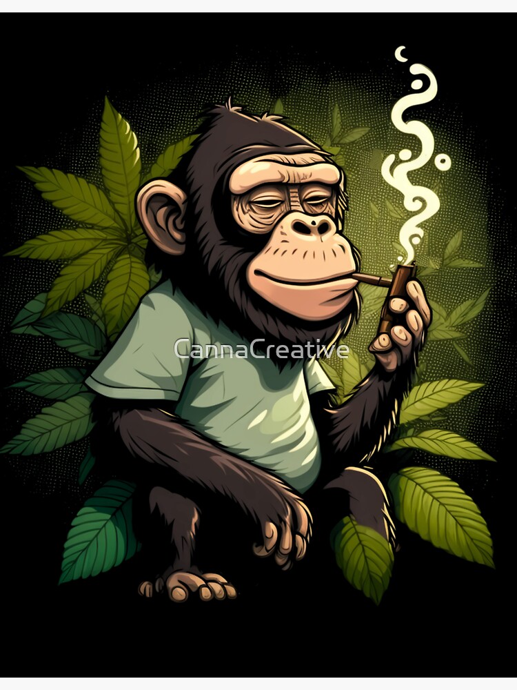"Marijuana Smoking Monkey - Chimp Hitting Cannabis Pipe - Ape Getting ...