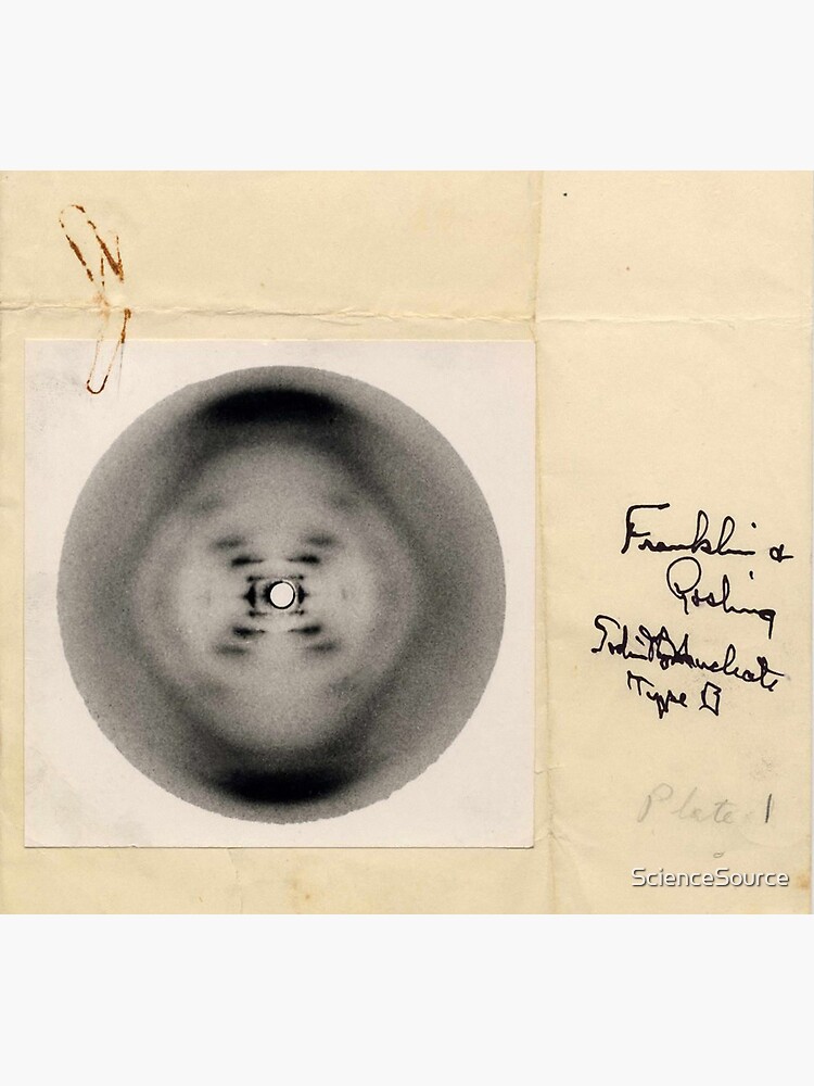 Rosalind Franklin's B-Form x-ray of DNA, 1952, Diffraction Photo ...