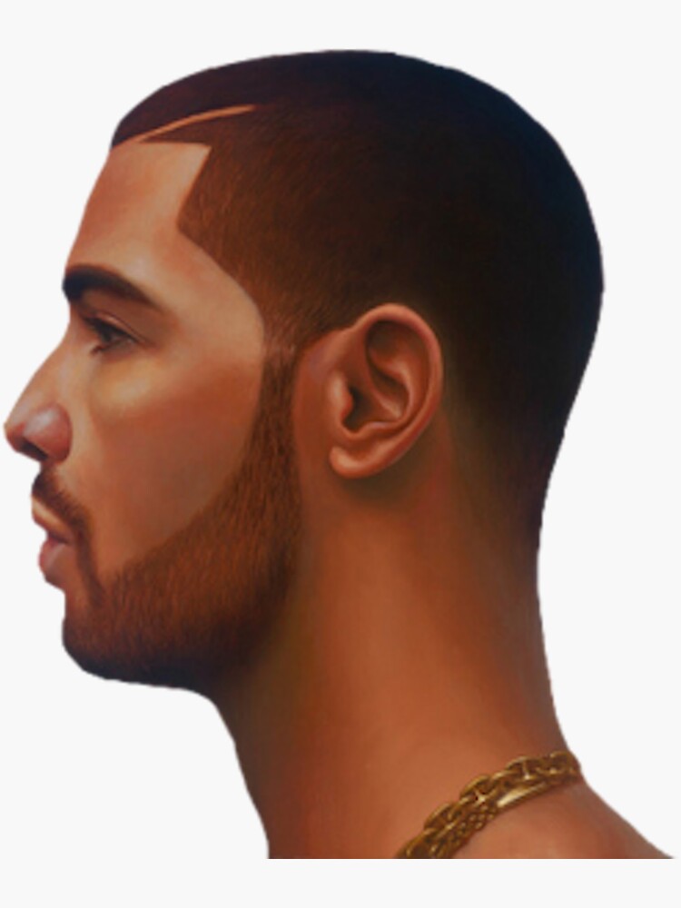 "Drake" Sticker for Sale by icabreu03 | Redbubble