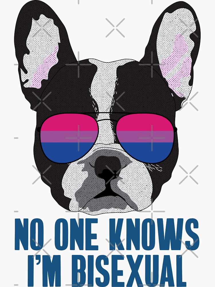 "NO ONE KNOWS I'M BISEXUAL - Funny Boston Terrier Dog Bi Pride Flag ...