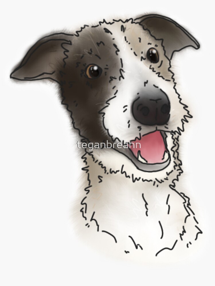 "Max the Dog (Transparent)" Sticker for Sale by teganbreann | Redbubble