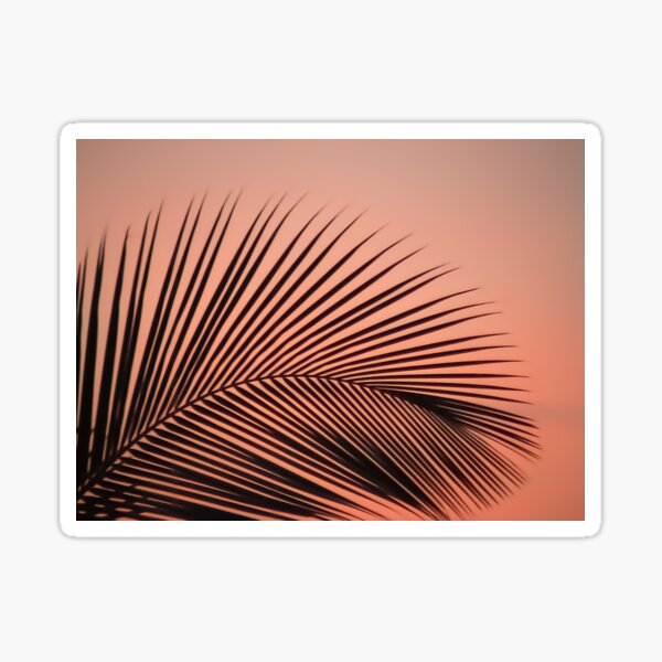 "Palm Leaf" Sticker for Sale by Enagel | Redbubble