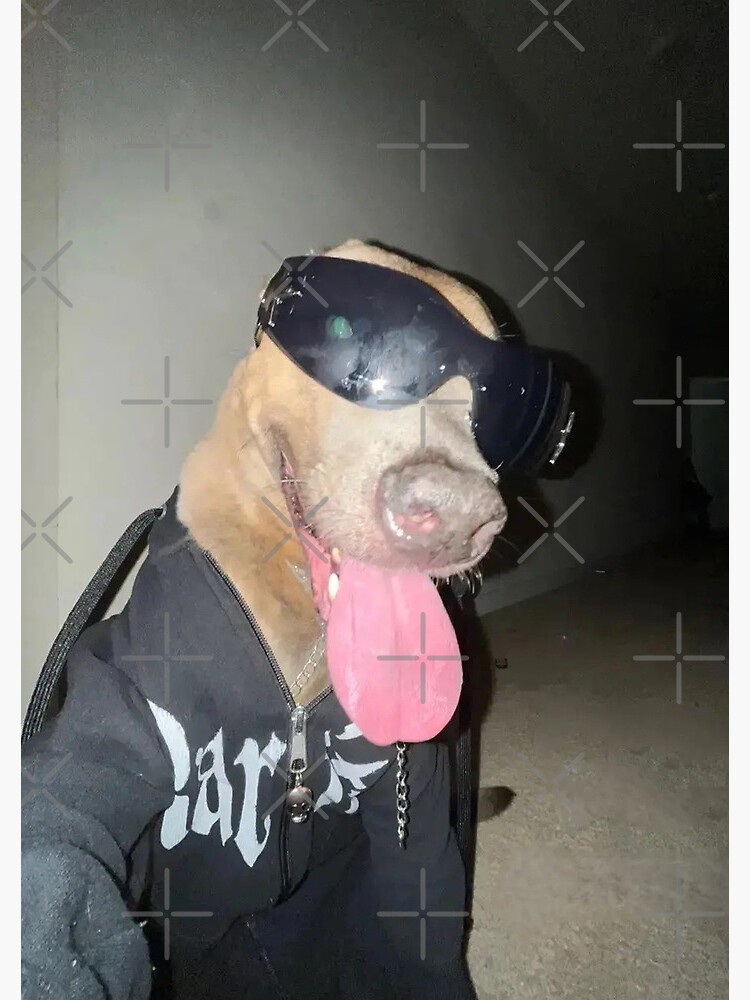 A Real Dog With Swagg