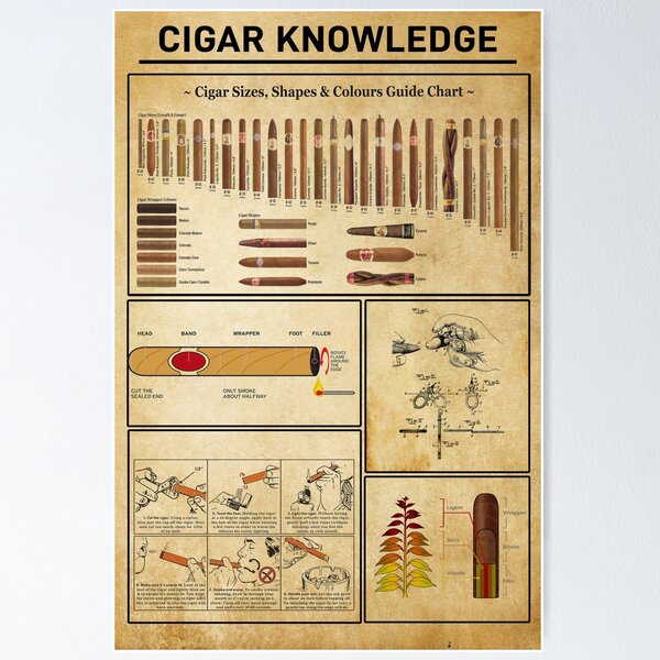 "Cigar knowledge, Cigar Culture lover" Poster for Sale by youssef ...