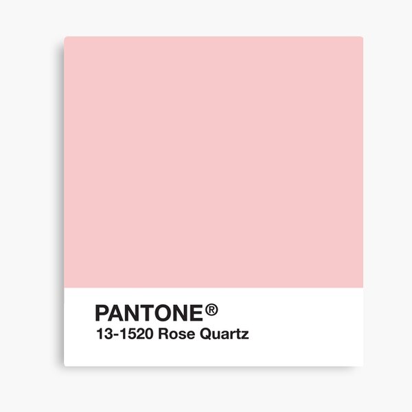"Pantone Series and Tumblr Vibes - Rose Quartz AKA Millennial Pink ...