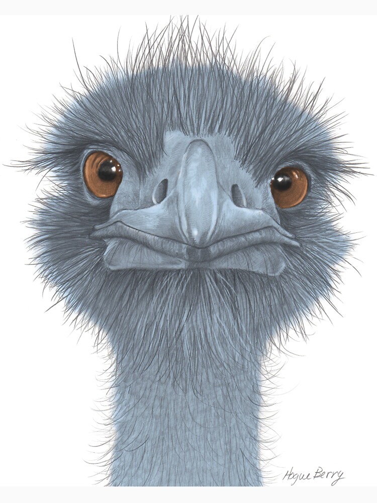 "Blue Emu" T-shirt by WendyBerry | Redbubble