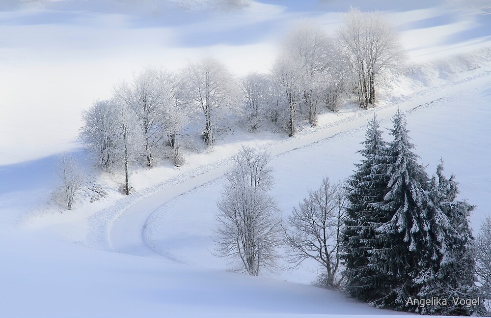 "Sunny Snow Morning" by Angelika Vogel | Redbubble