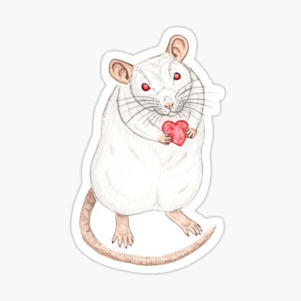 "Albino White Rat with Heart" Sticker for Sale by WolfySilver | Redbubble