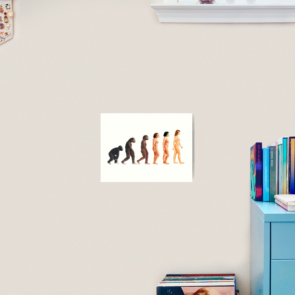 "Stages in female human evolution (E436/0037)" Poster for Sale by ...