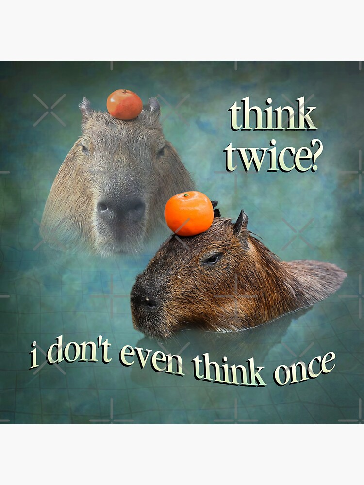 "Think Twice? I Don't Even Think Once capybara word art" Sticker for ...