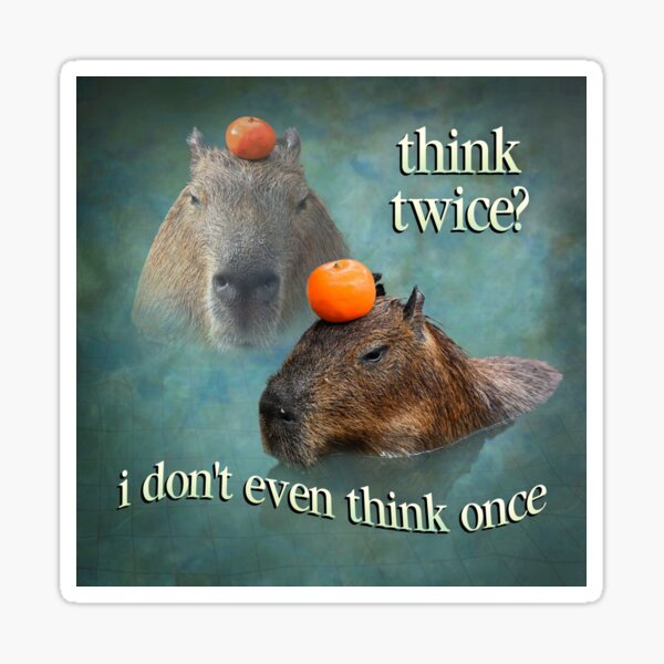 "Think Twice? I Don't Even Think Once capybara word art" Sticker for ...