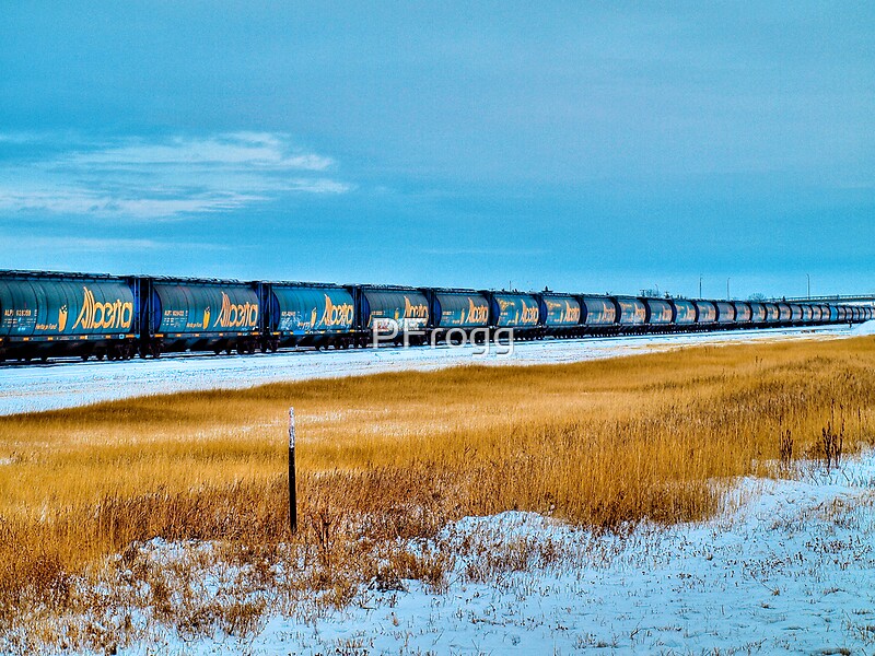  1 Kilometer Long Billboard By PFrogg Redbubble