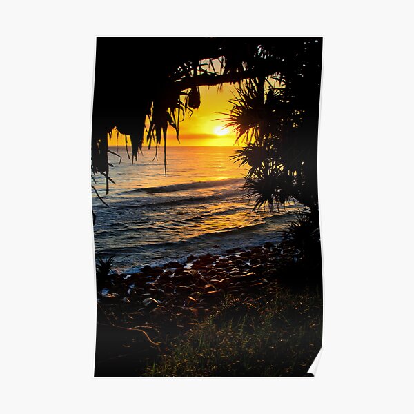 "Looking Back" Poster for Sale by OzShadow | Redbubble