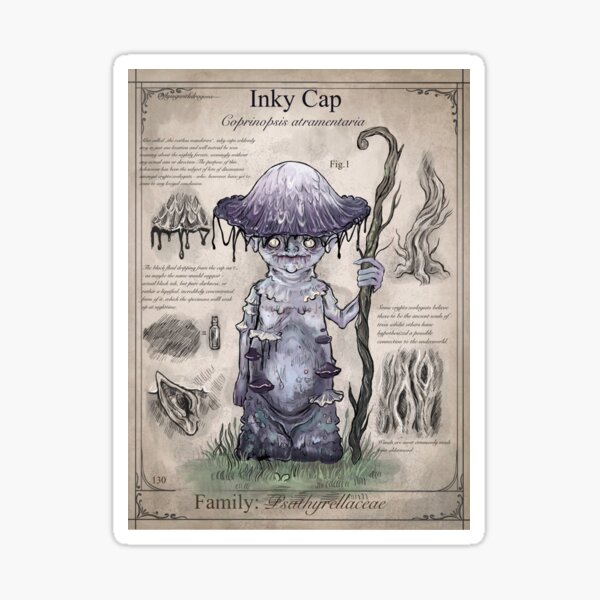 "Inky Cap Mushroom Creature" Sticker for Sale by CharlotteGanz | Redbubble