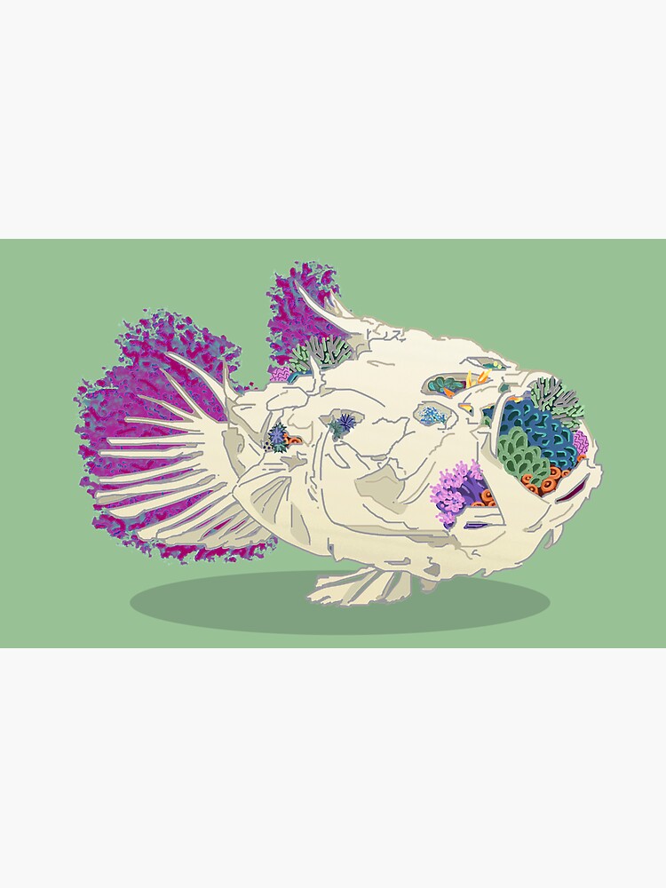 "Stargazer Skeleton" Sticker for Sale by JennElaine | Redbubble