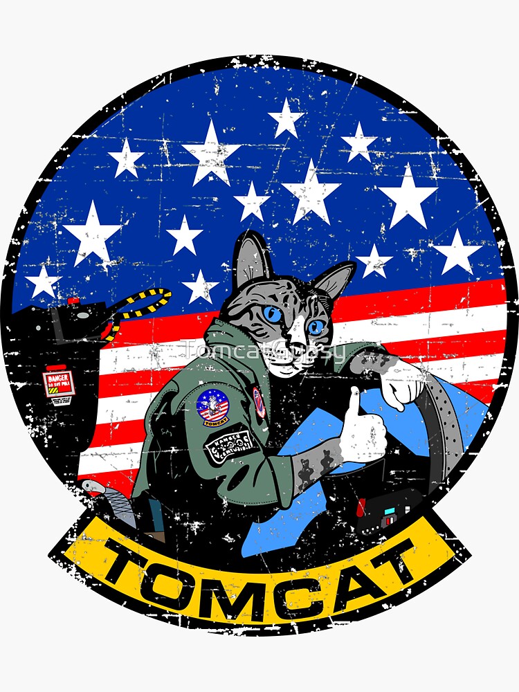 "F-14 Tomcat - Tomcat Gypsy - Grunge Style" Sticker for Sale by ...