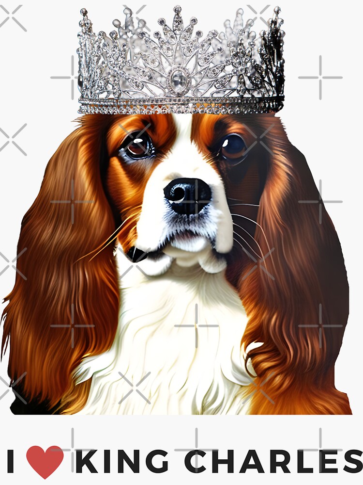 "King Charles III Coronation King Charles Spaniel Funny Coronation ...