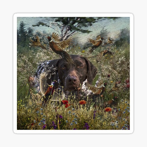 "The German Shorthaired Pointer, Pheasant hunting season" Sticker for ...