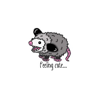 "Fuzzy possum feeling cute" Sticker for Sale by sssartin | Redbubble