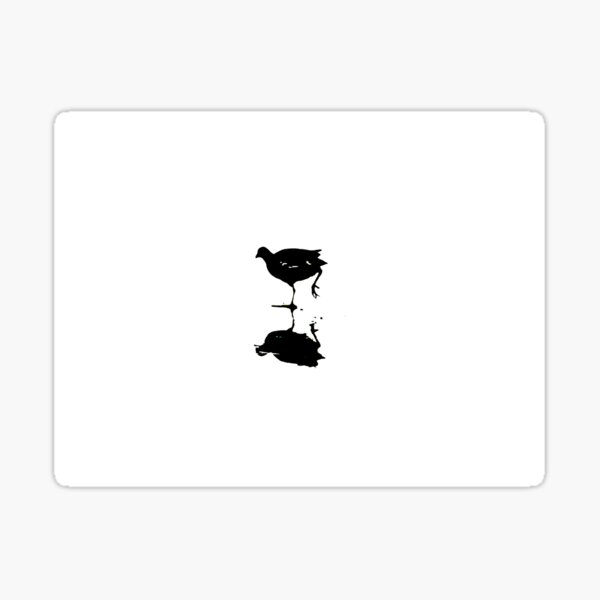 "Stylized Coot artwork Waterbird Collection" Sticker by derbyshireduck ...