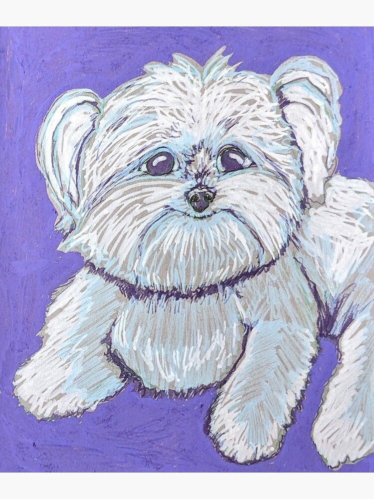 "Baby Baxter" Sticker for Sale by CreatingCute | Redbubble