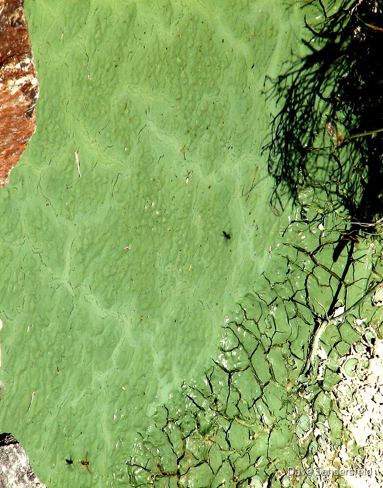 "Volcanic ash turns to green clay (bentonite)" by Dave Sandersfeld ...