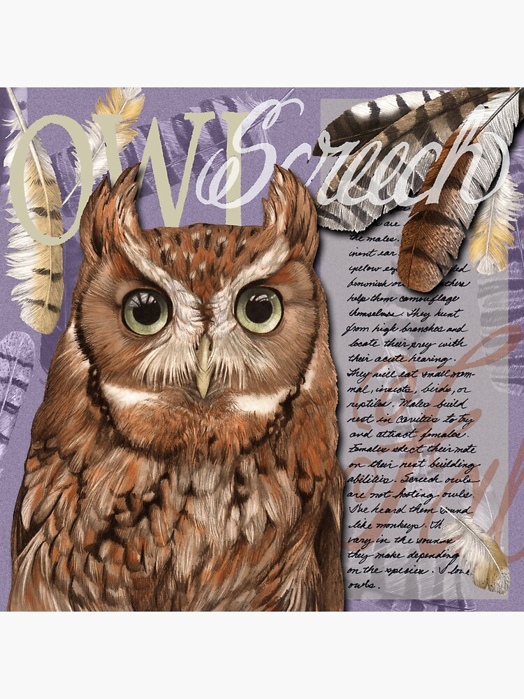 "Screech Owl" Sticker for Sale by WendyBerry | Redbubble