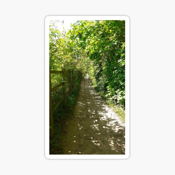 "Secret Path" Sticker for Sale by daisy-and-dawn | Redbubble