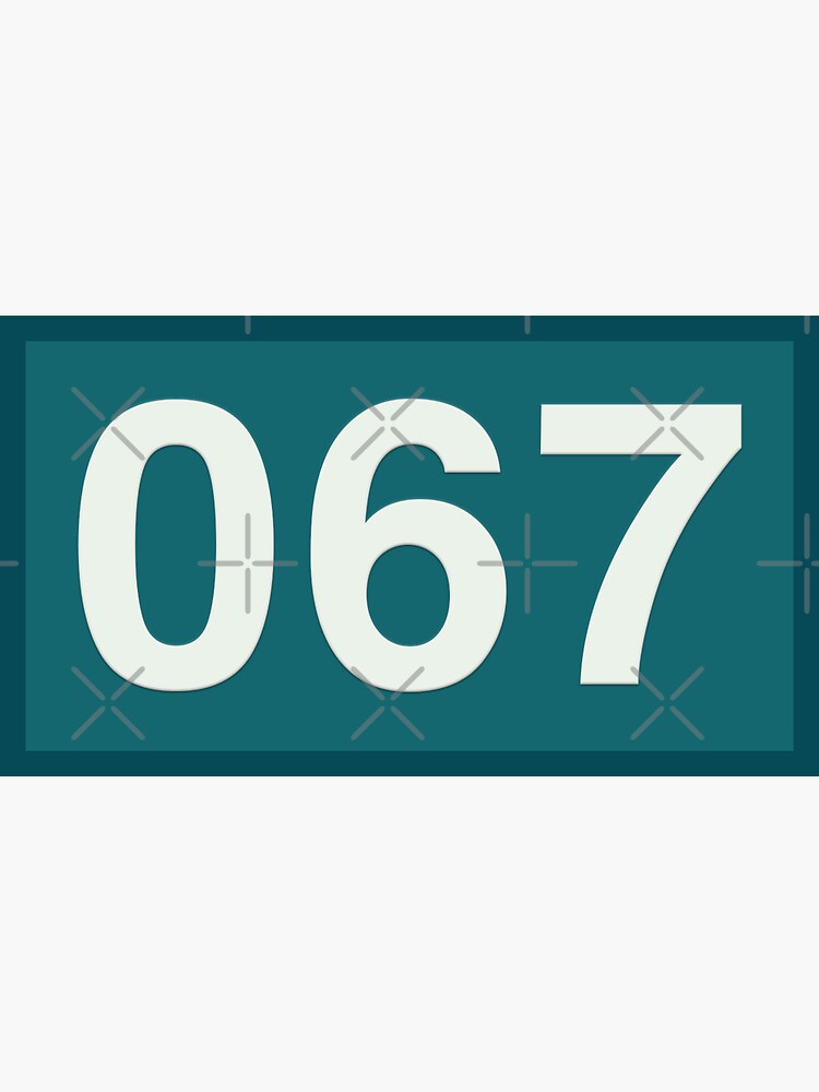"Kang Sae-byeok Number Sticker - SQUID GAME Player 067 - Netflix ...