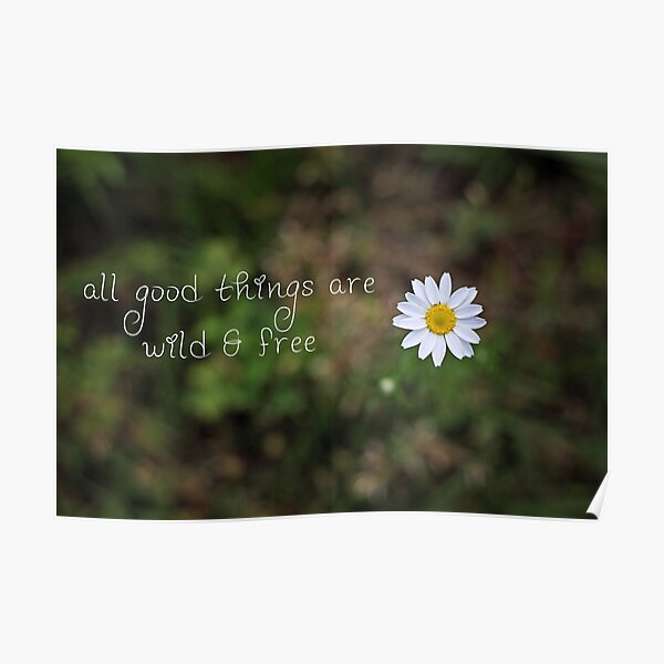 "Wildflower inspirational quote" Poster by bwatkinsphoto | Redbubble