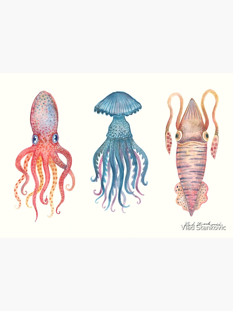 "Octopus, Jellyfish and a Squid" Art Print by vladimirsart | Redbubble