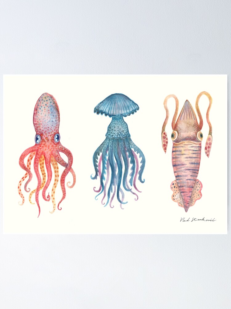 "Octopus, Jellyfish and a Squid" Poster for Sale by Vlad Stankovic ...