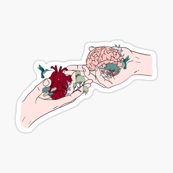 "Anatomy heart and brain" Sticker by carries-anatomy | Redbubble