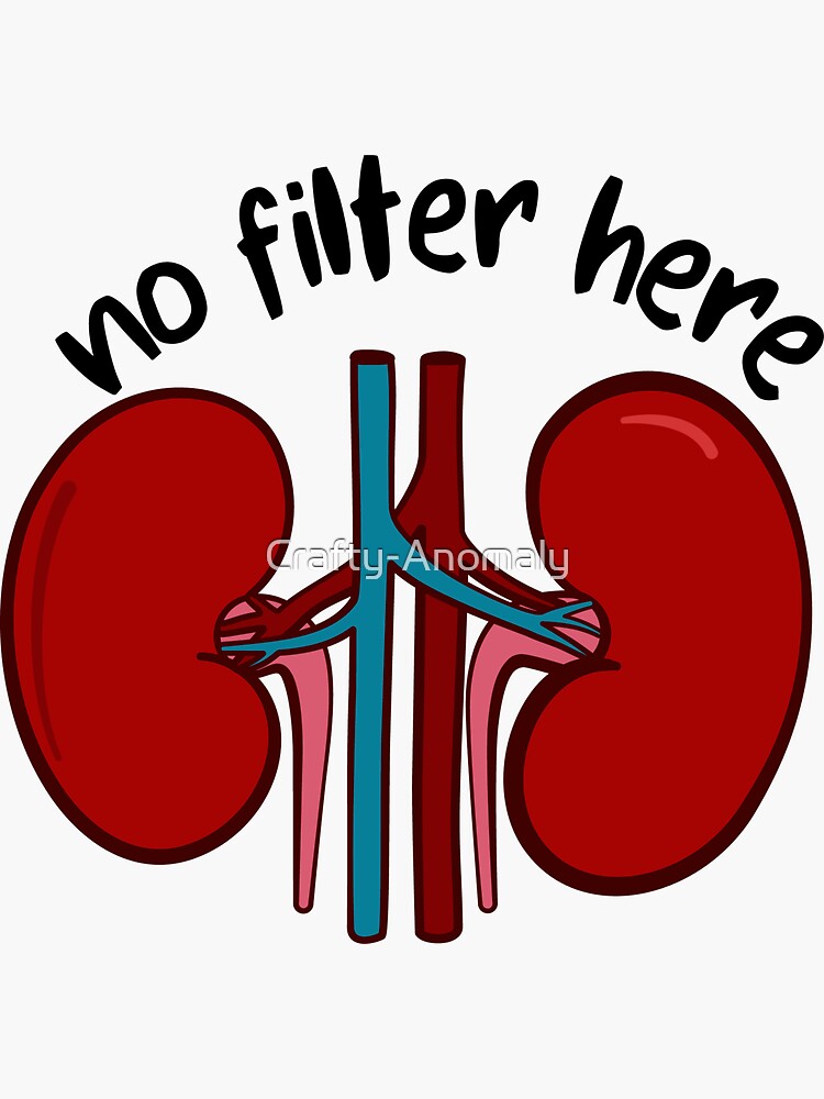 "No filter here nephrology kidney humor " Sticker for Sale by Crafty ...