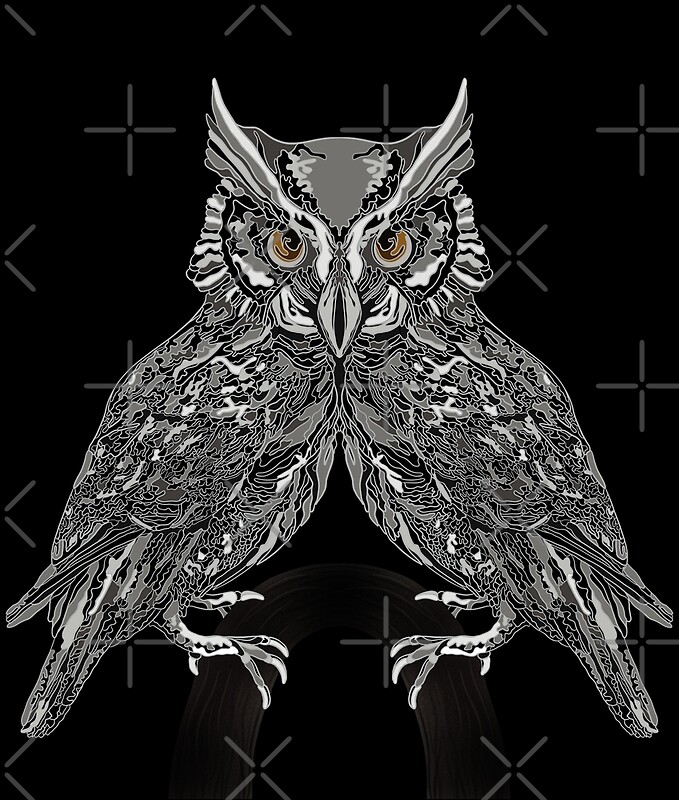 "Surreal Owl, two bodies, one head" by DaveDanchuk | Redbubble