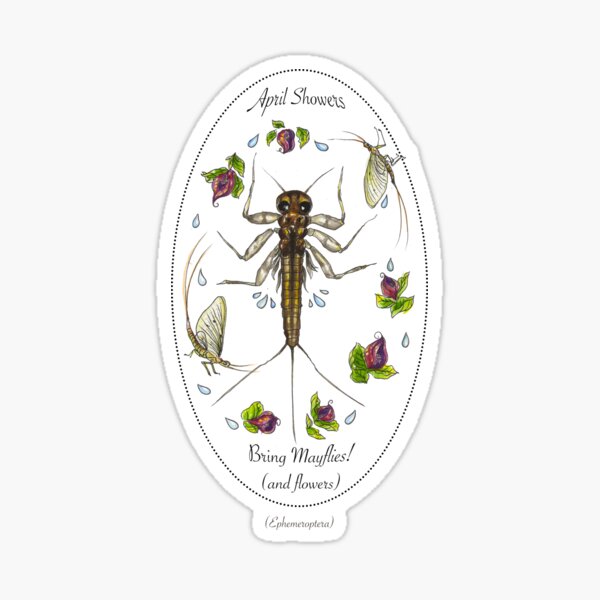 "April Showers Bring Mayflies! (and flowers)" Sticker for Sale by ...