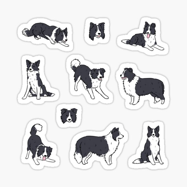 "Border collie dog cute pack" Sticker for Sale by Yarafantasyart ...
